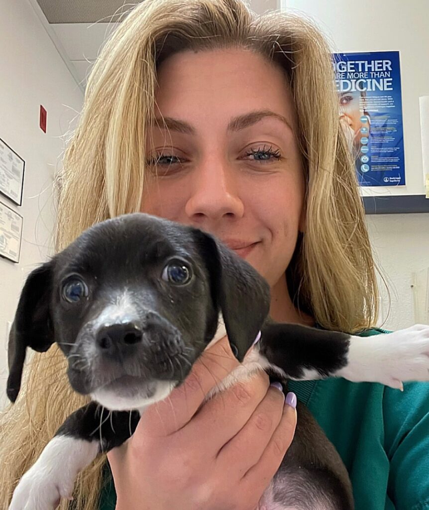 Meet Our Team - Primary Care Animal Hospital